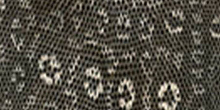 Learn Exotic Leather: Nile and Ring Lizard Skins