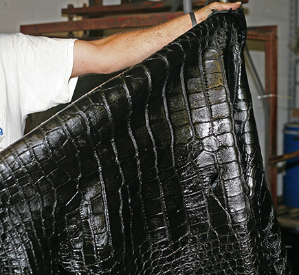 Comparing Exotic Leathers: American Alligator vs. Caiman Skins