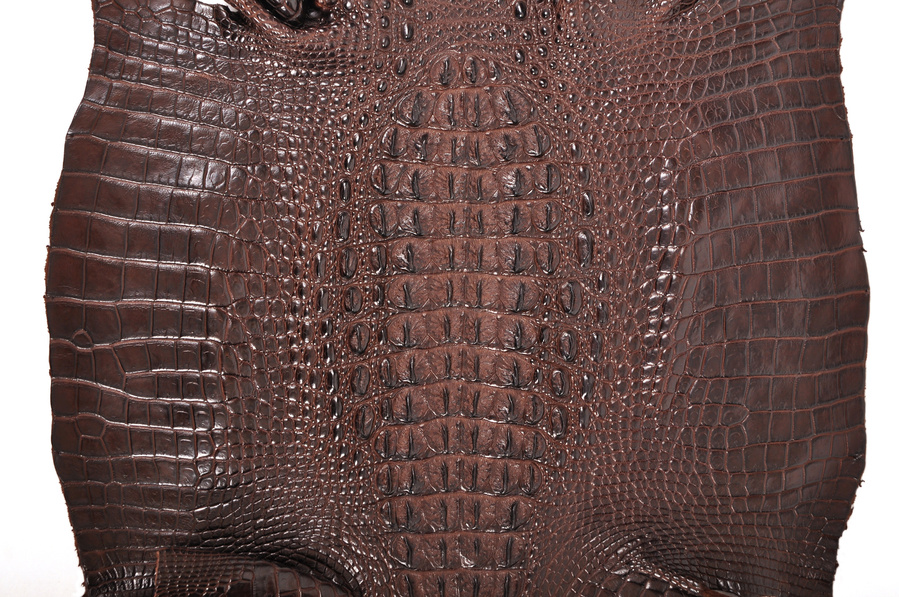 Tips for Crafting Footwear from Nile Crocodile Skin