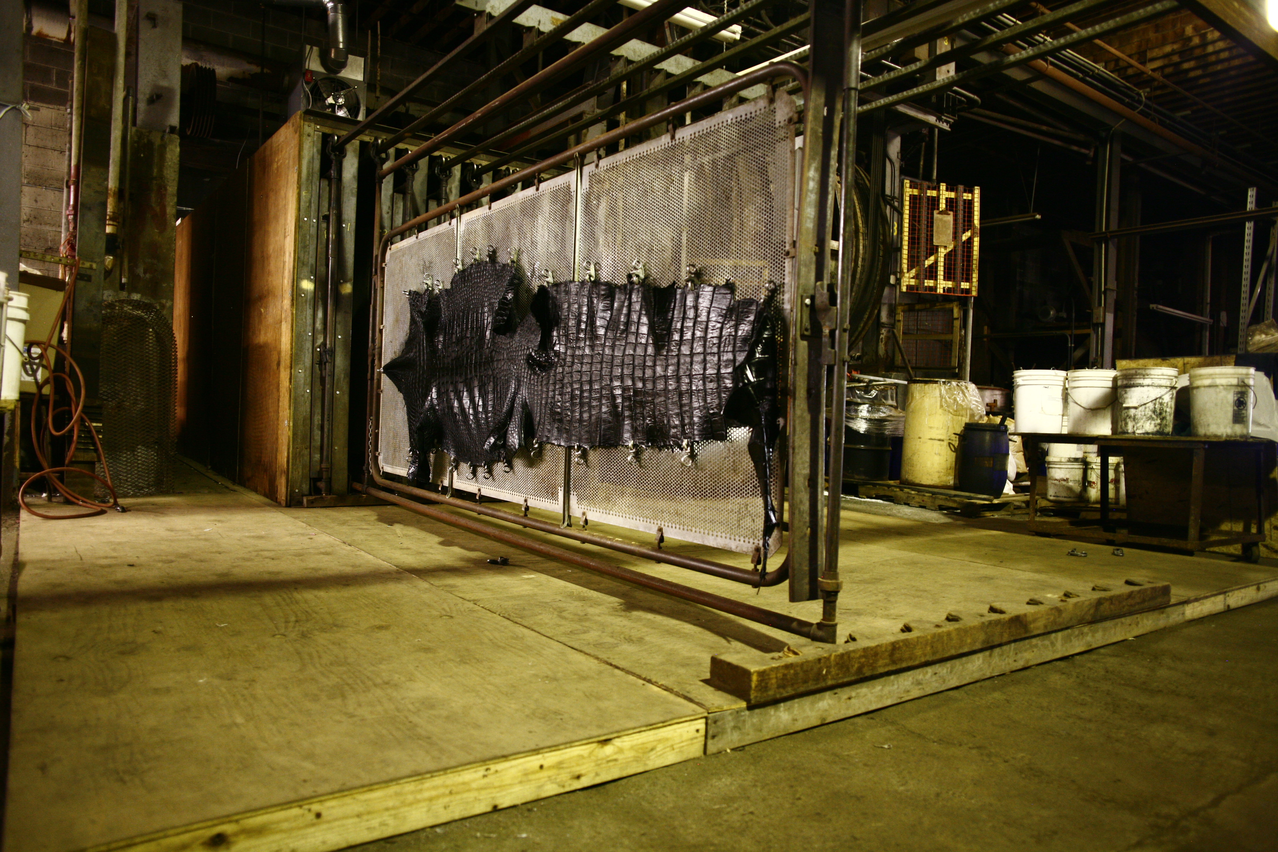 How To Size And Buy Alligator Skins