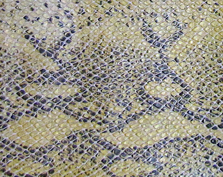 Tips and Tricks Every Designer Should Know when Using Exotic Leather