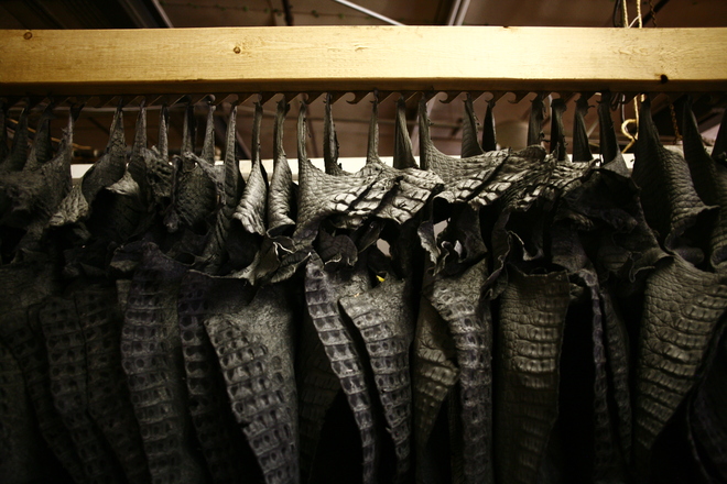 Comparing Exotic Leathers: American Alligator vs. Caiman Skins