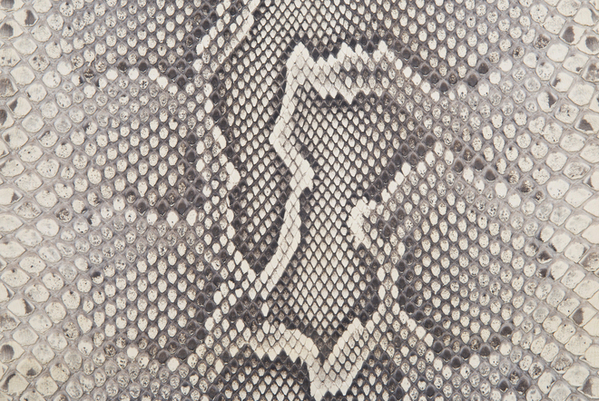 Picking Out the Right Snake Skin for Your Next Exotic Leather Project