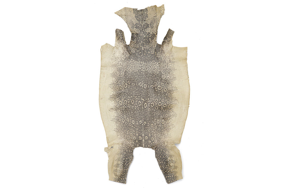 How To Buy Lizard Skins