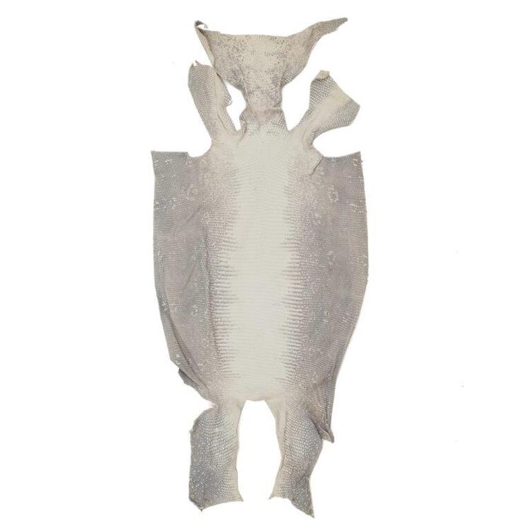 How To Buy Lizard Skins