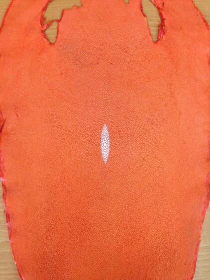 Check out Our New Guide on Stingray Skin!