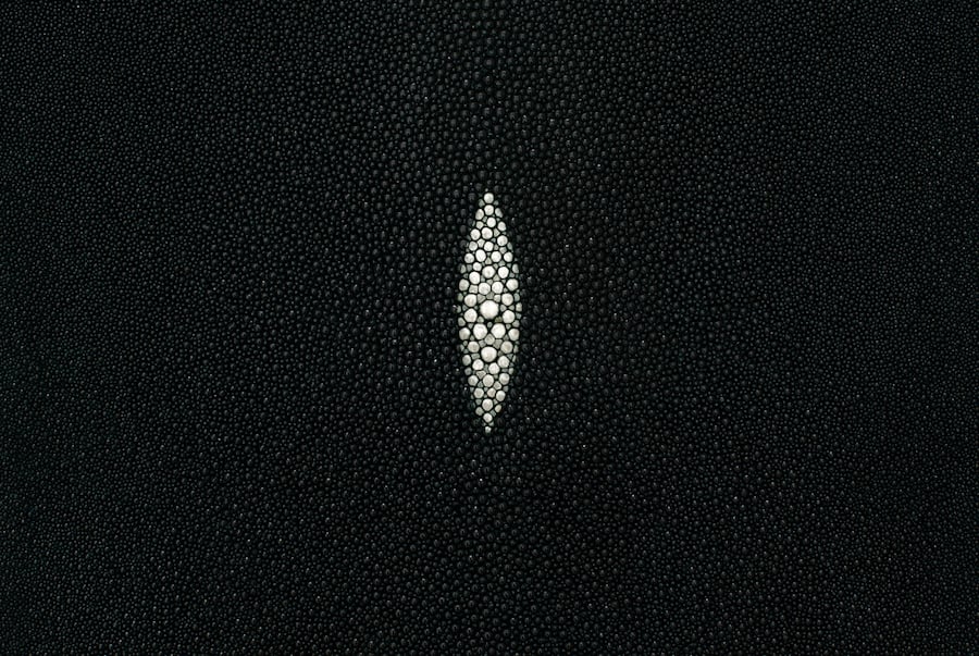 Exciting Exotic Leather Project Ideas for Stingray Skin