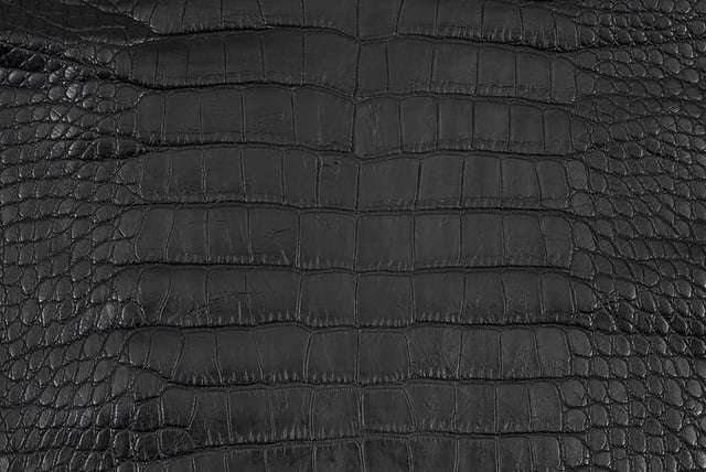 Why Alligator Skin is a Great Exotic Leather for Making Garments