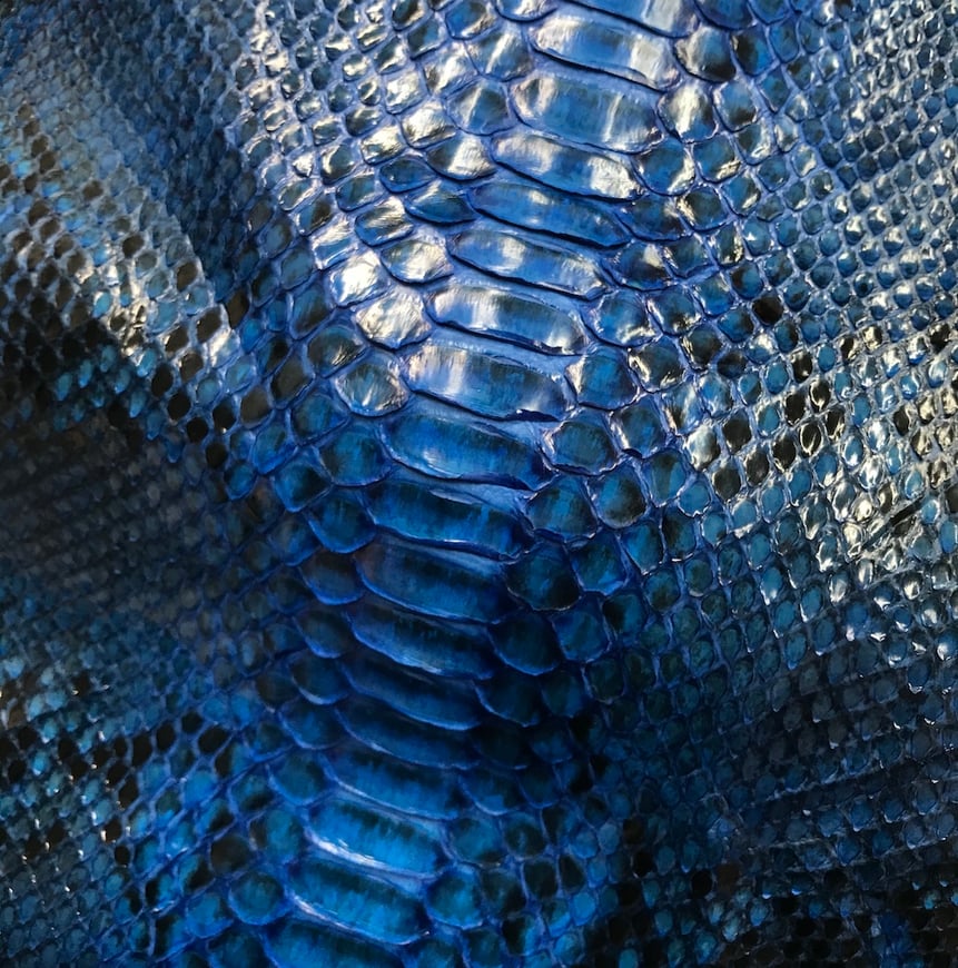 International Trade of Exotic Skins: Resources and Contacts