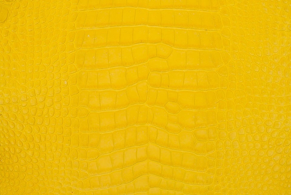 How Coloring & Finishing is Done in Custom Tanning