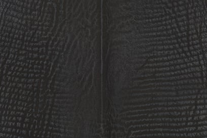 Defining Qualities of Shark Leather