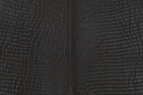 Defining Qualities of Shark Leather
