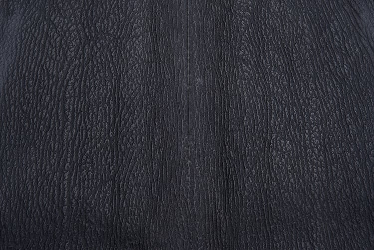 What You Should Know About Shark Skin