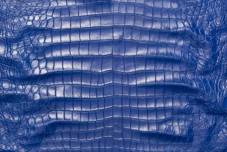 What is So Special About the American Crocodile Skin?