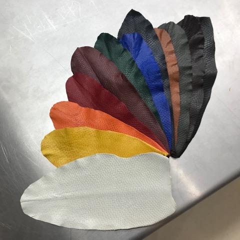 The Guide to Beaver Tail Skins