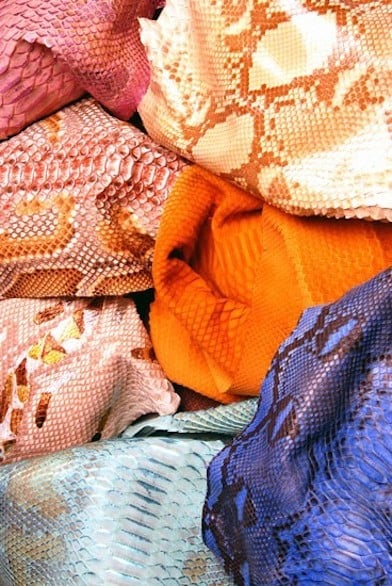 The Proper USA Licensing for the International Trade of Exotic Skins