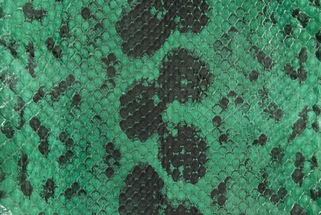 New Anaconda Skins in the Exotic Leather Shop!