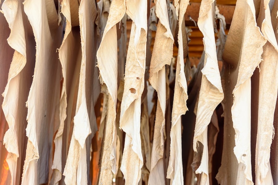 An Introduction to Metal-Free Tanning of Exotic Leather