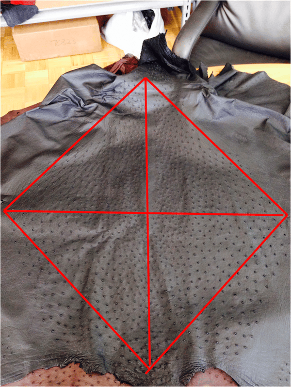 Is Ostrich Skin Right for Your Next Garment Project?
