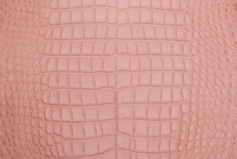 The Best Exotic Skins for Phone Cases