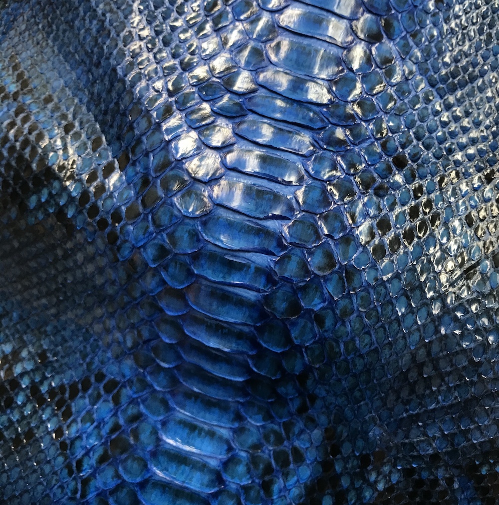 International Trade of Exotic Skins: Resources and Contacts